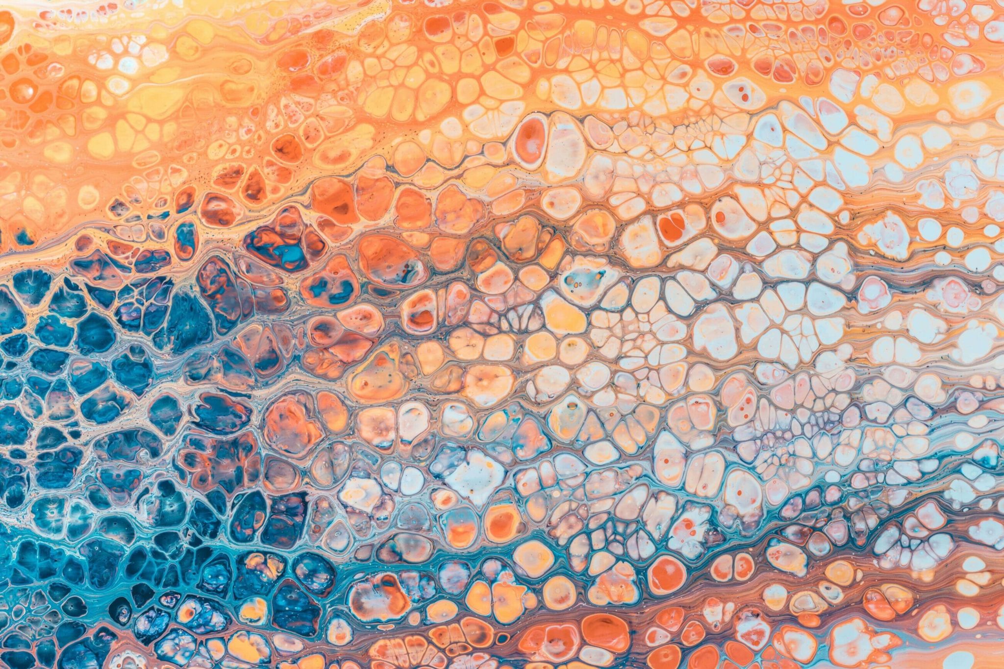 Digital Transformation of EHS&S in Hospitals