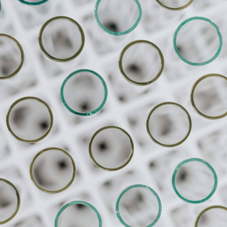 Leading EHS Software for Sustainable Performance Advantage