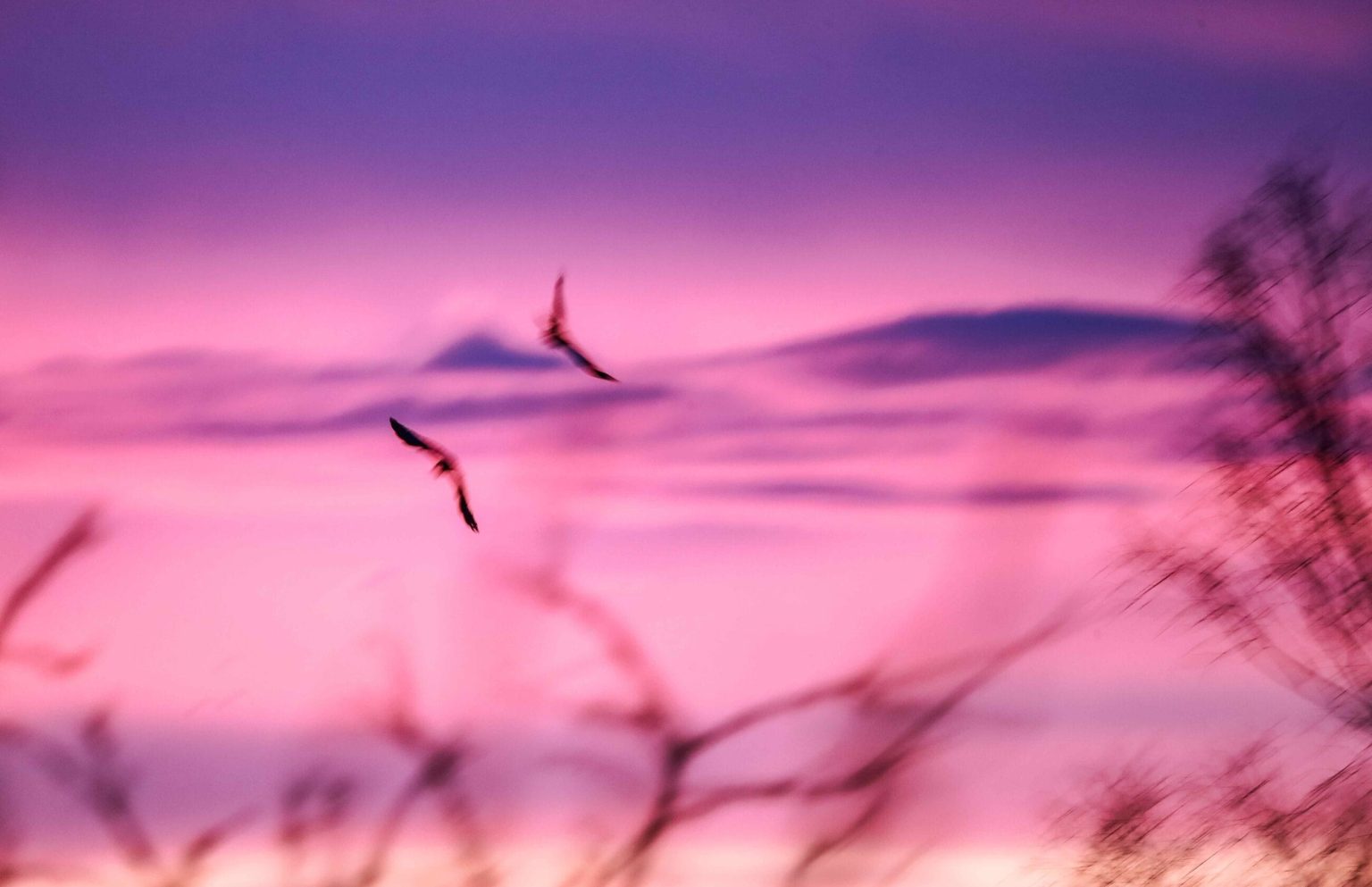 Getting started with Science-based targets for nature