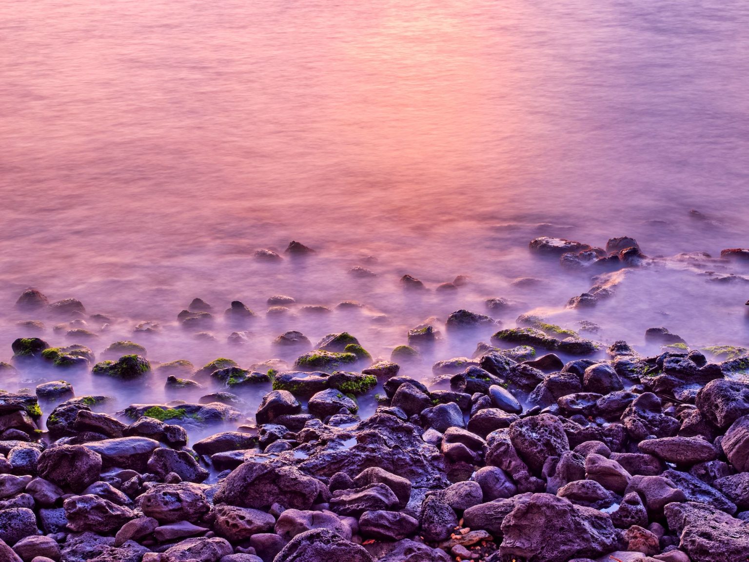 Gap Between Sustainability and Procurement – Workshop Insights